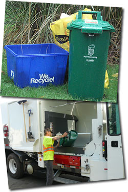 Download free software Curbside Recycling Program - pitmaster