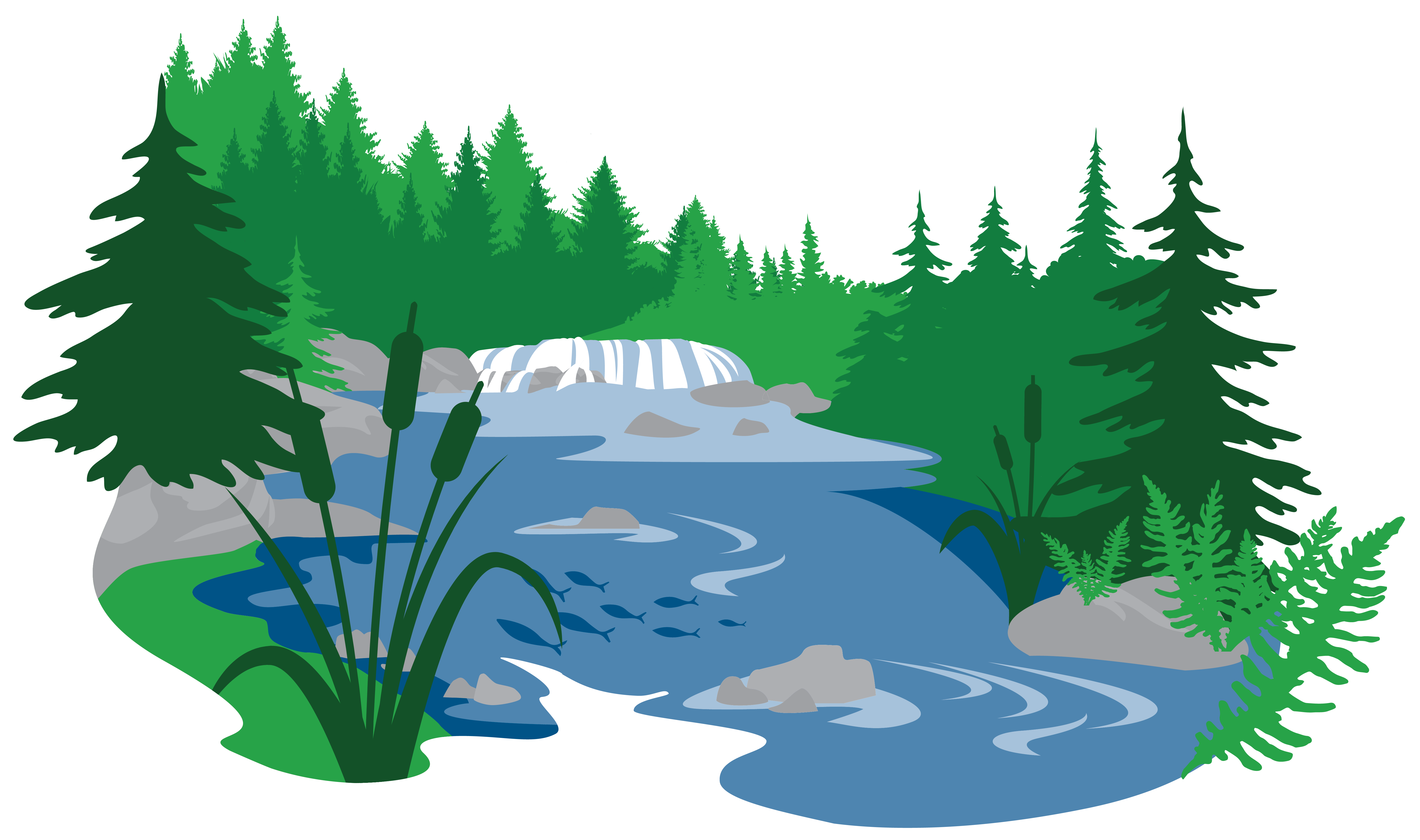 Watershed Education | RDN